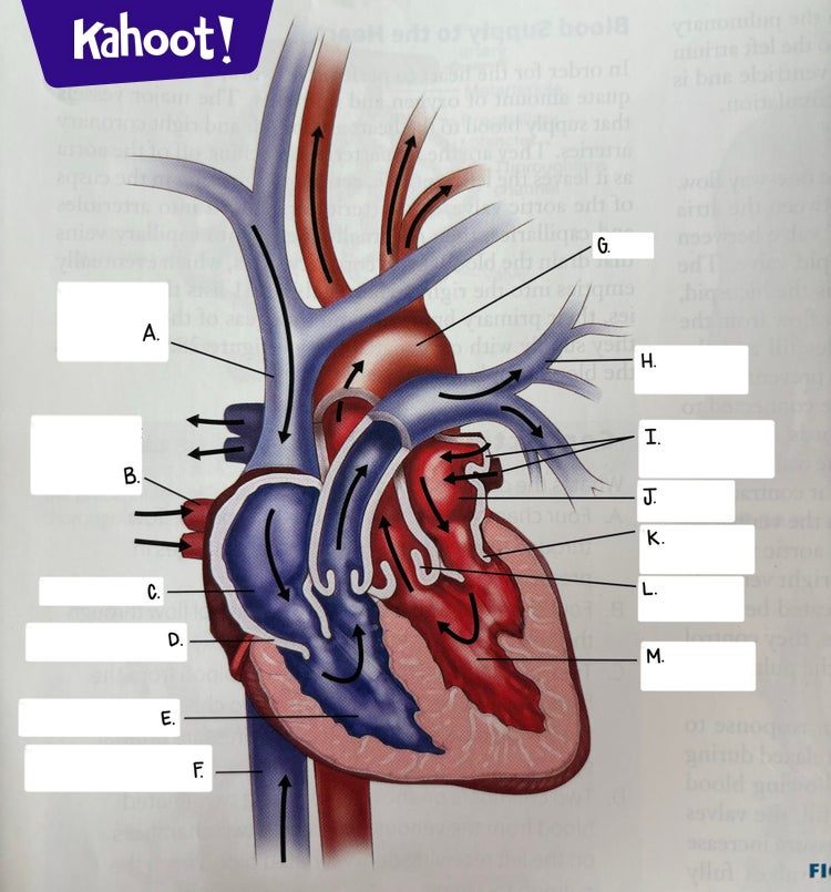 ANCNP Adv Medsurg I CH 28 - Kahoot! Quiz