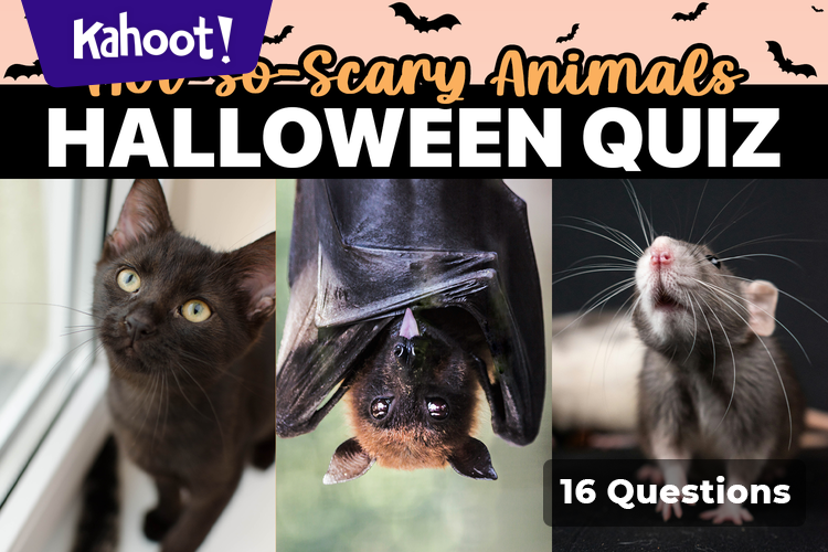 Not-So-Scary Animals: A Halloween Quiz - Kahoot! Quiz