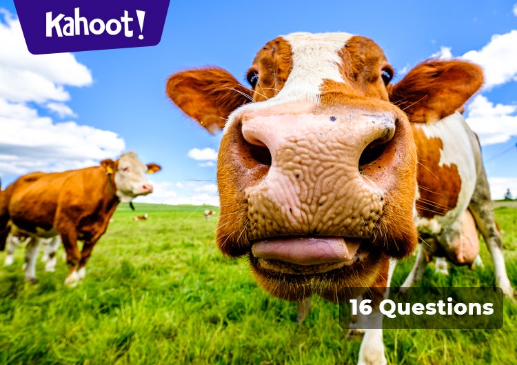 animals - Kahoot! Quiz