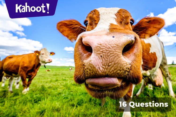 animals - Kahoot! Quiz