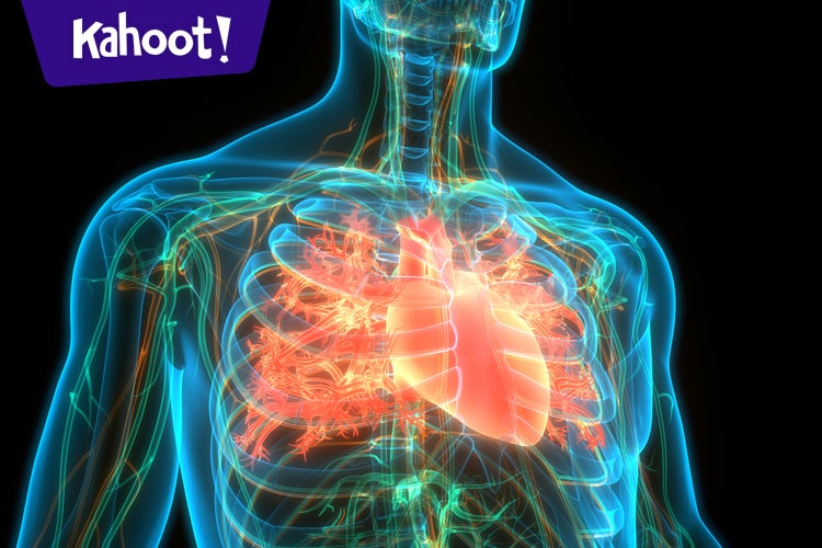 Medicine: Anatomy & Physiology Explorations (I) 🧠 📘 - Kahoot! Quiz