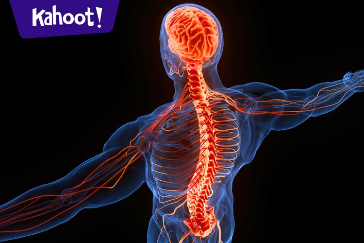 Ch. 2 Anatomy (CTOS) - Kahoot! Quiz