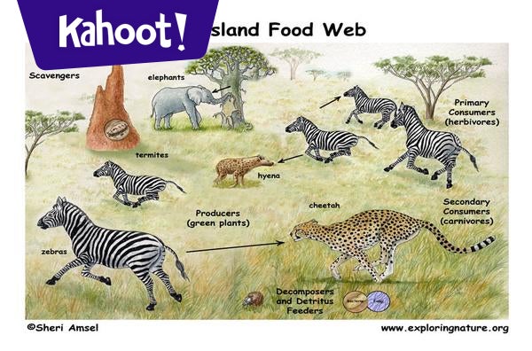 Adaptations, Ecosystems, Inherited and Learned Traits - Kahoot! Quiz