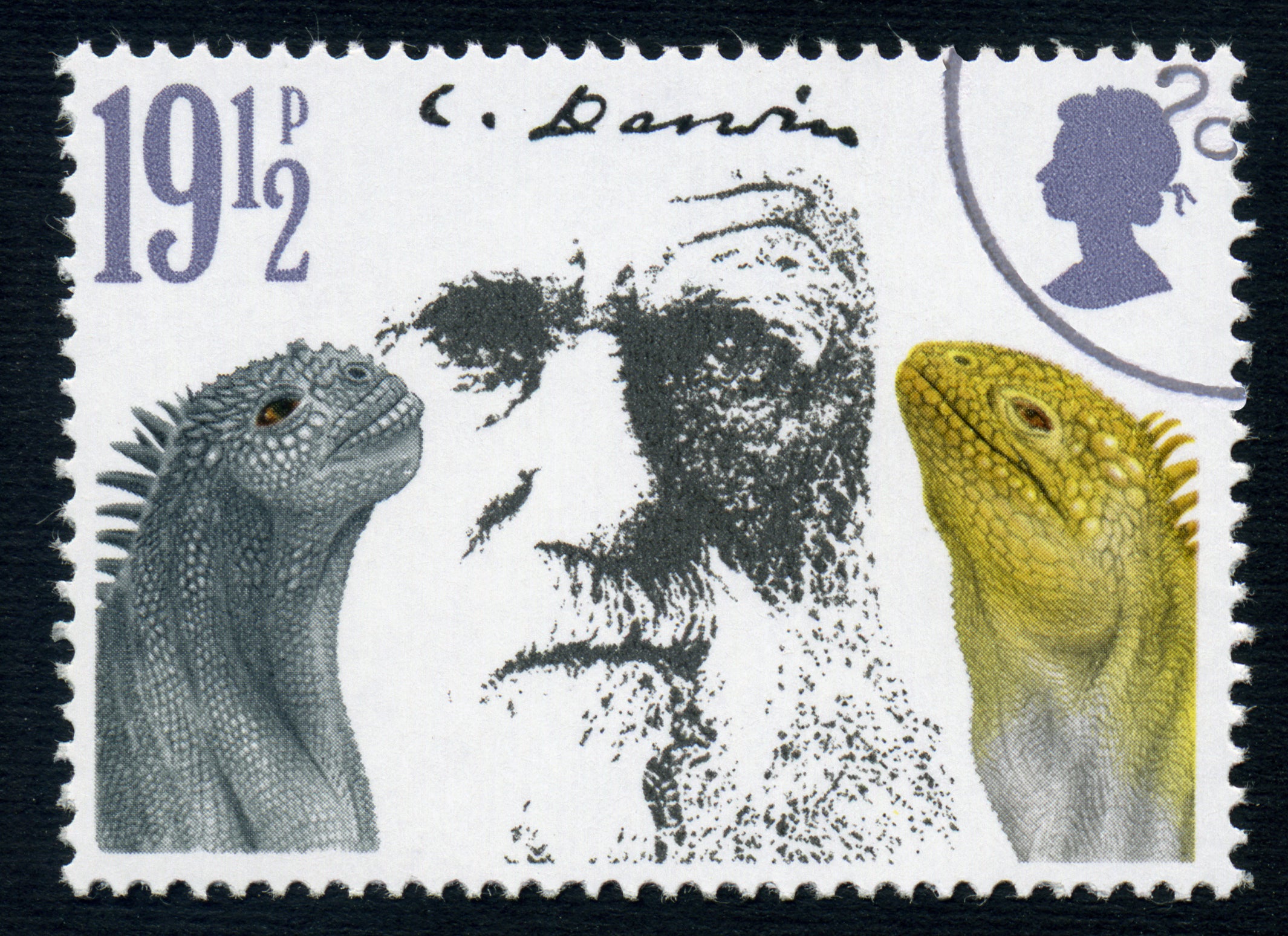 Evolution And Darwin Kahoot Quiz