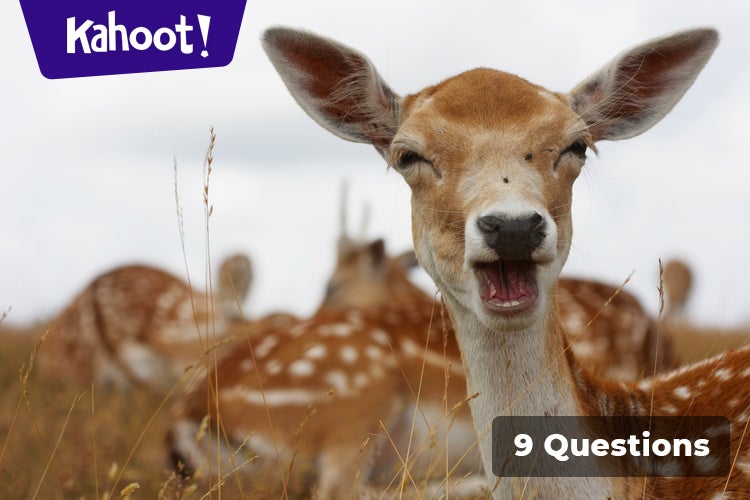 Food Chain Vocab - Kahoot! Quiz