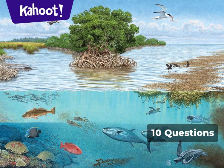 Ecosystems - Kahoot! Quiz